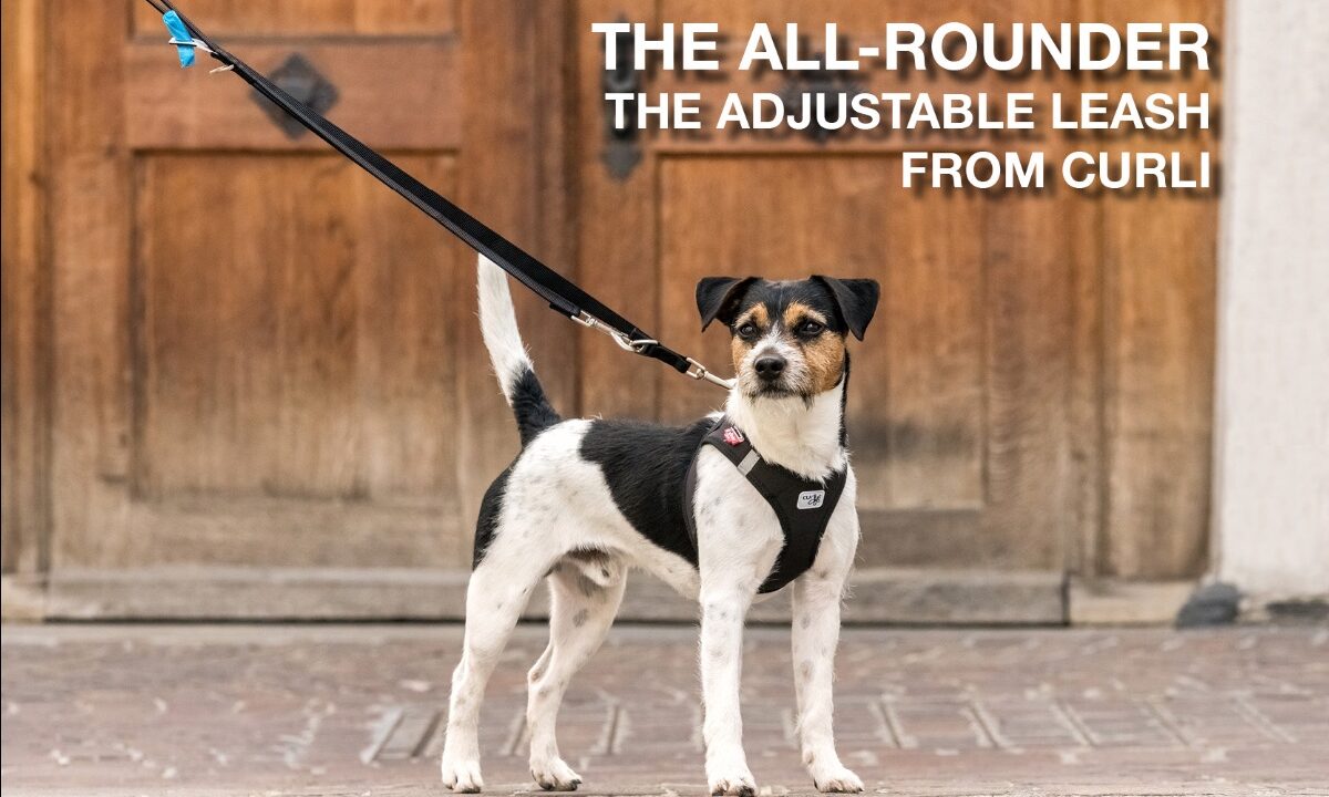 Adjustable leash - curli
