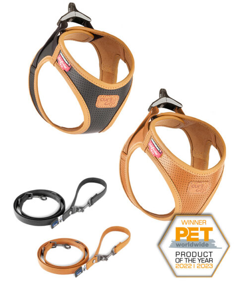 Small Dogs – curli Clasp Apple Leather Premium Collection