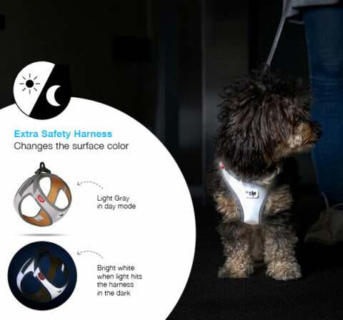 Small to medium sized dogs – curli Vest Harness The Glow